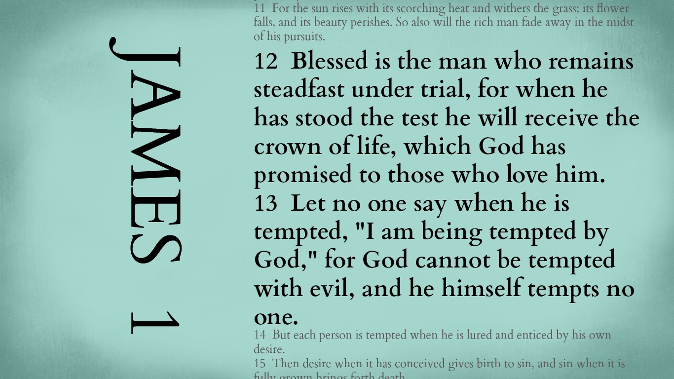 Want To Stand Strong James 1 12 13 Memory Verse Do Not Depart