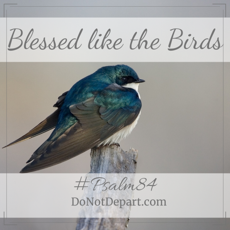 Blessed Like the Birds (Psalm 84) - Do Not Depart